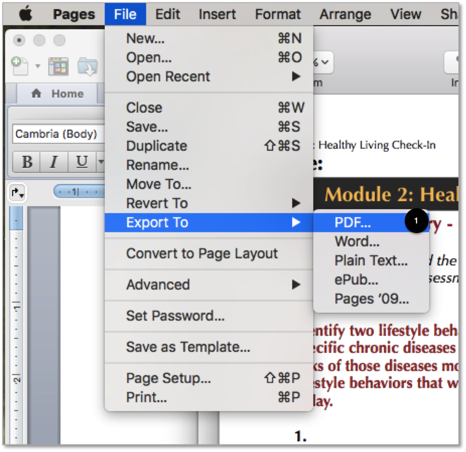 How Do I Save A Document To PDF Bearface